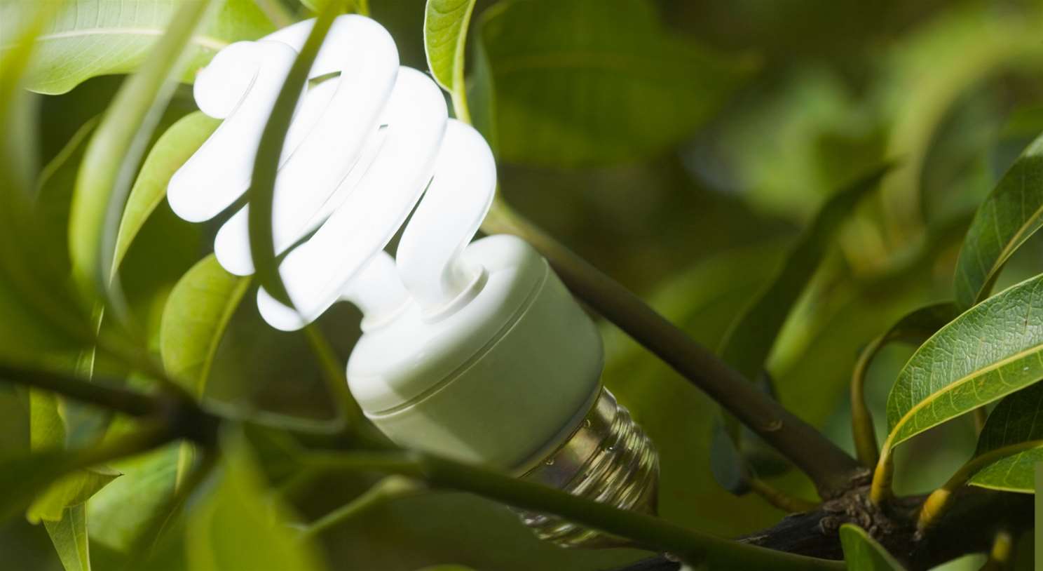 Our Favourite Green AV Brands | March 2024 | News & Events | RGB ...